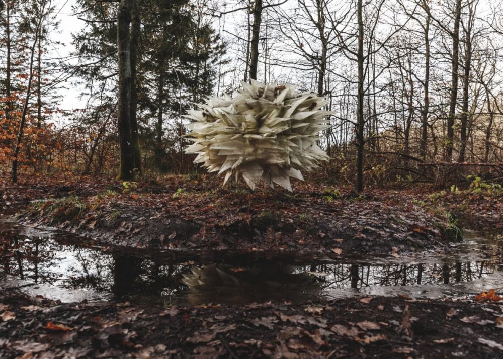 Morten Modin – Deep Forrest Art Land