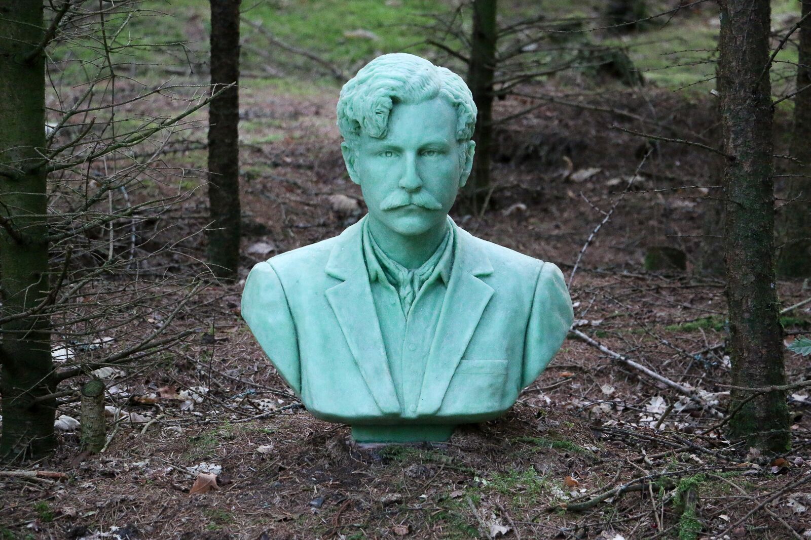 Adam Fenton – Deep Forrest Art Land