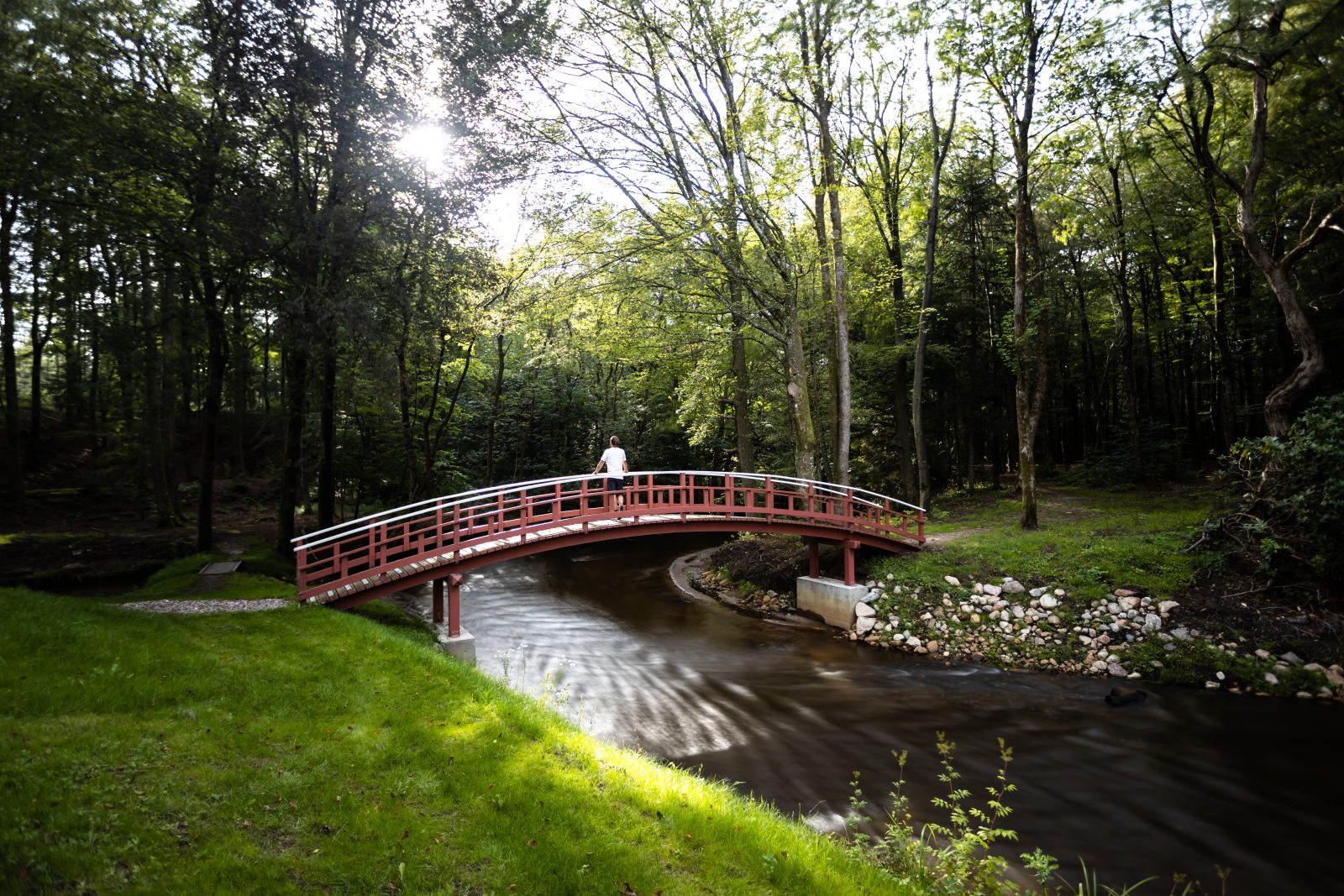 Skarrildhus – Deep Forrest Art Land