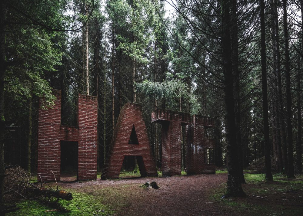 Deep Forrest Art Land