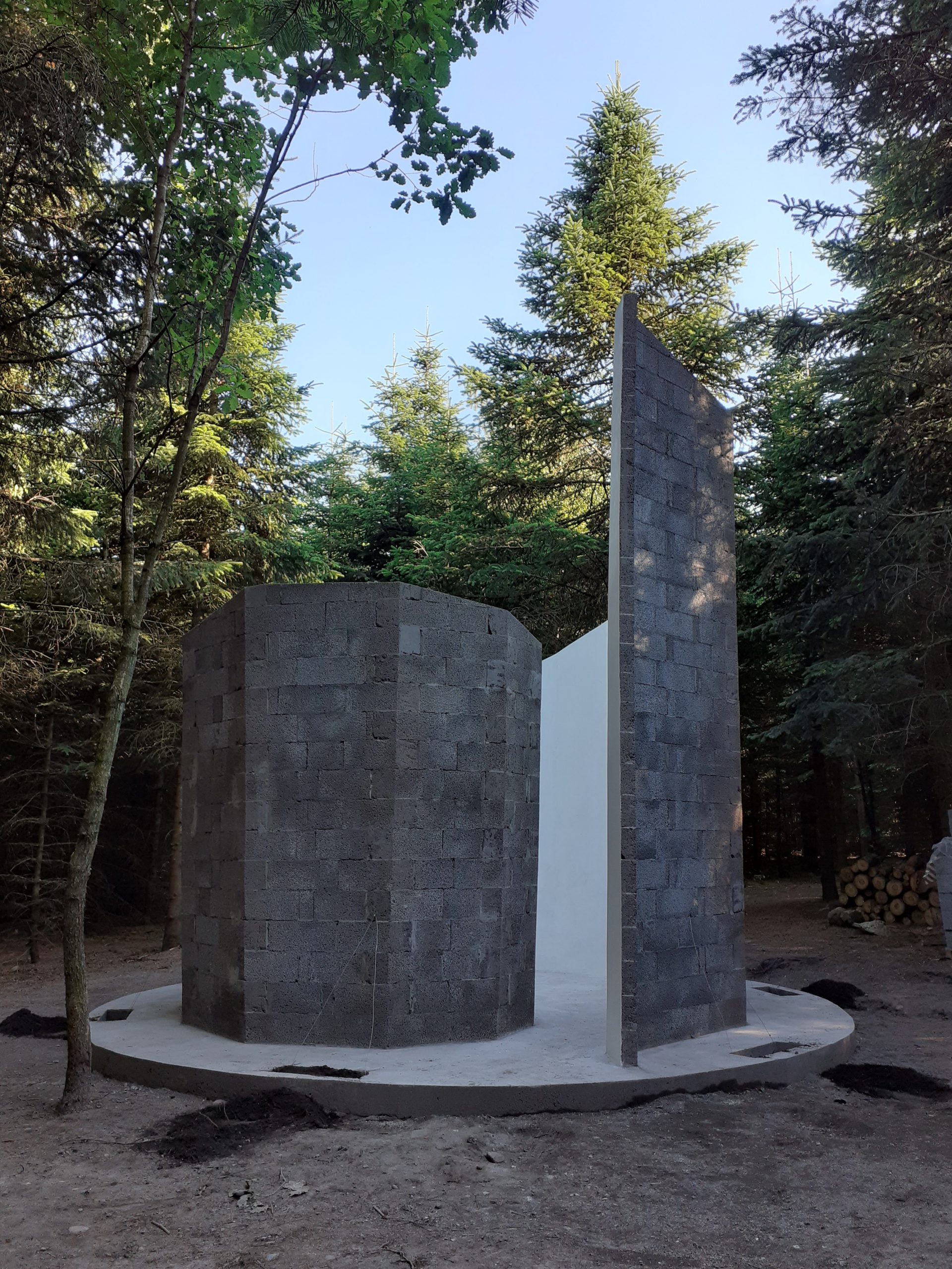 Deep Forrest Art Land