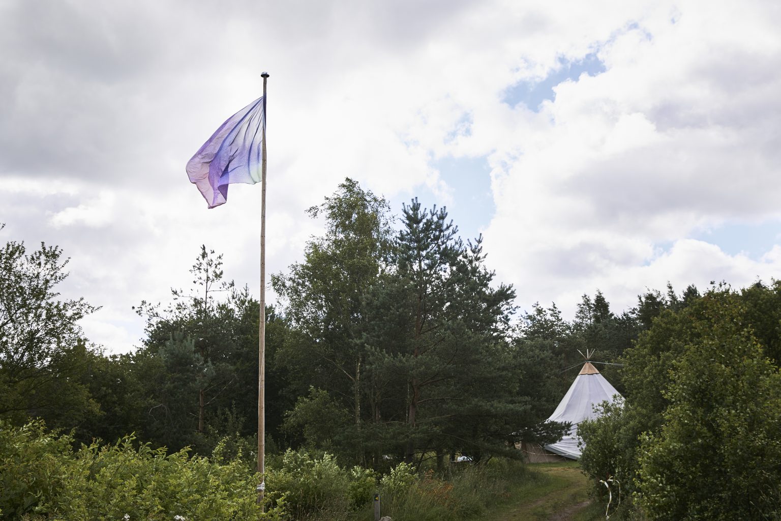 René Schmidt – Deep Forrest Art Land
